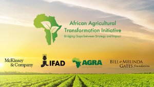 McKinsey & Company - Projects - Agriculture | Consultancy Africa